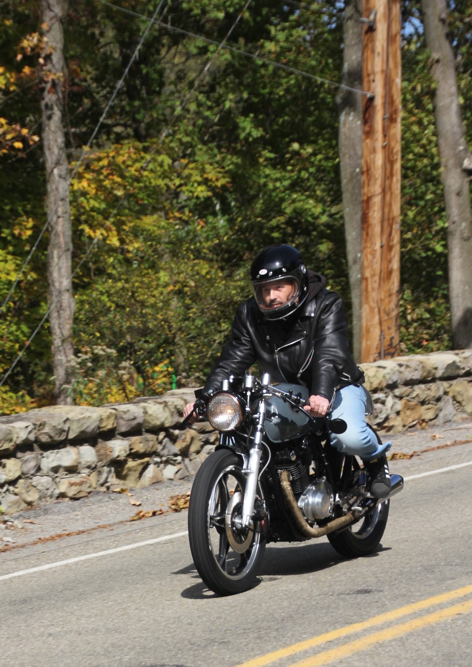 Keep An Eye Our For Furry Friends - Café Racer Magazine